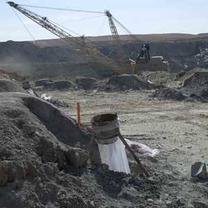 Stemliner™ - Stemlock®, Inc